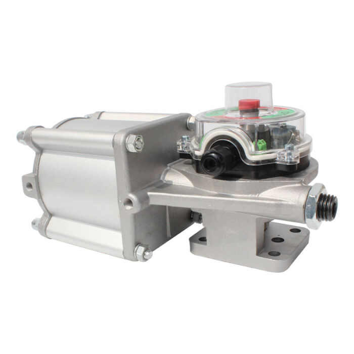 DA Pneumatic actuators - CZIC GROUP-PUMP PARTS